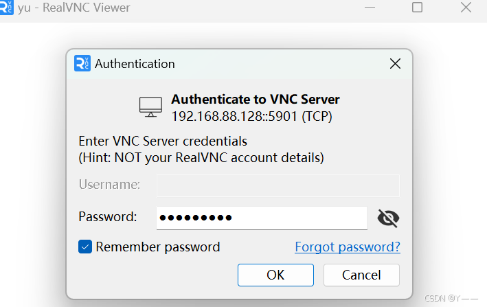 VNC安装步骤【#1024程序员节 | 征文#】_linux vnc安装-CSDN博客
