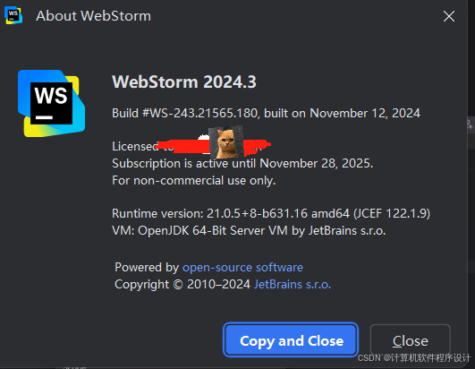 WebStorm2024.2.4及后续版本下载安装使用_webstorm 2024.2-CSDN博客