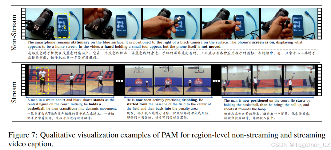 PAM：Perceive Anything: Recognize, Explain, Caption, and Segment Anything in Images and Videos感知 ...
