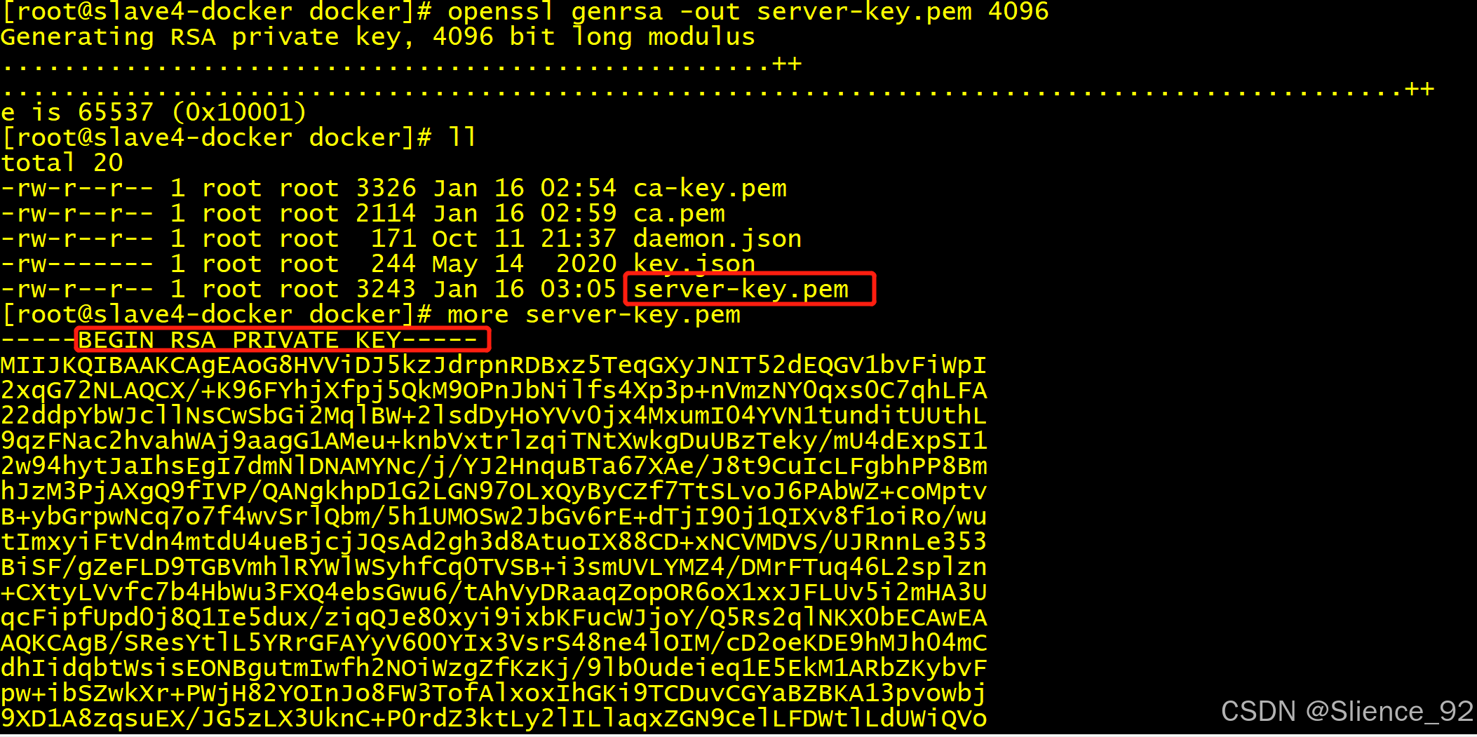 Docker_CA认证原理及配置_docker ca-CSDN博客