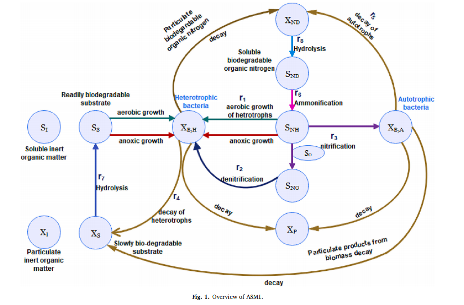 污水处理工艺优化1_bsm活性污泥模型-CSDN博客