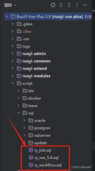 若依框架RuoYi-Vue-Plus（项目搭建及使用教程）_ruoyi-plus-CSDN博客