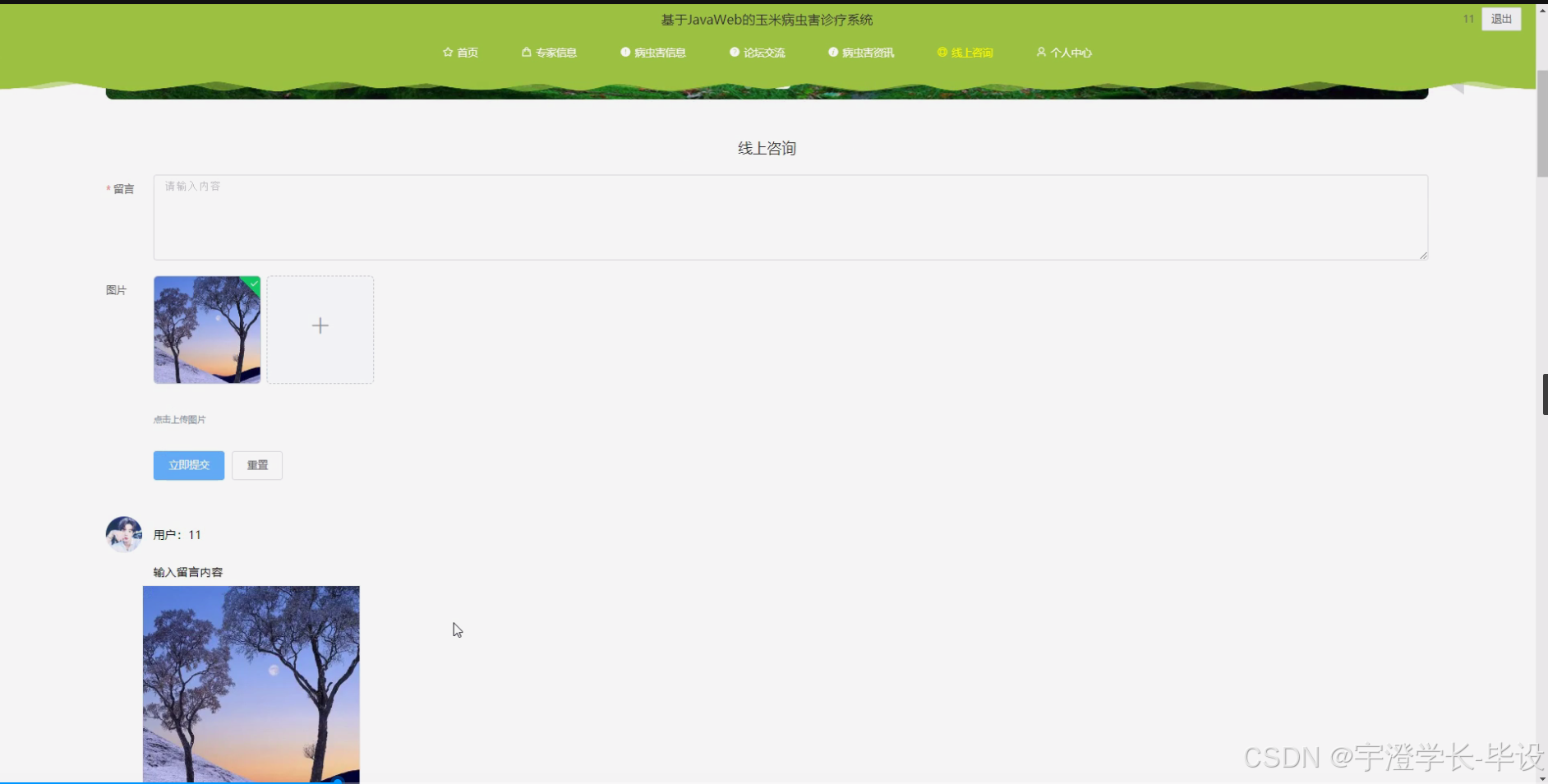 开题flask框架基于web的玉米病虫害诊疗系统（程序论文python）flask框架做水稻垩白检测识别系统 Csdn博客
