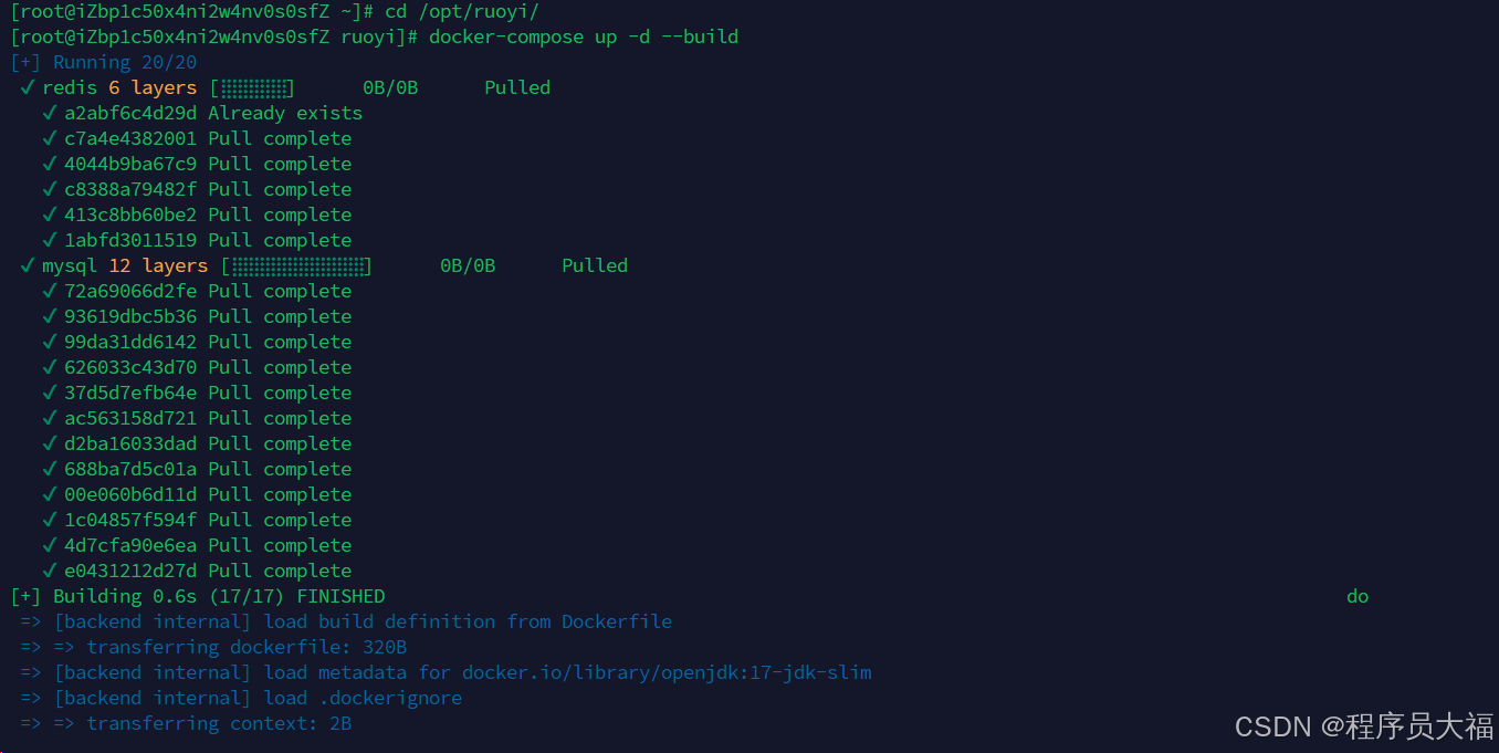 在CentOS 7服务器使用Docker部署若依(RuoYi)前后端分离项目指南_怎么在centos里面部署ruoyi框架-CSDN博客