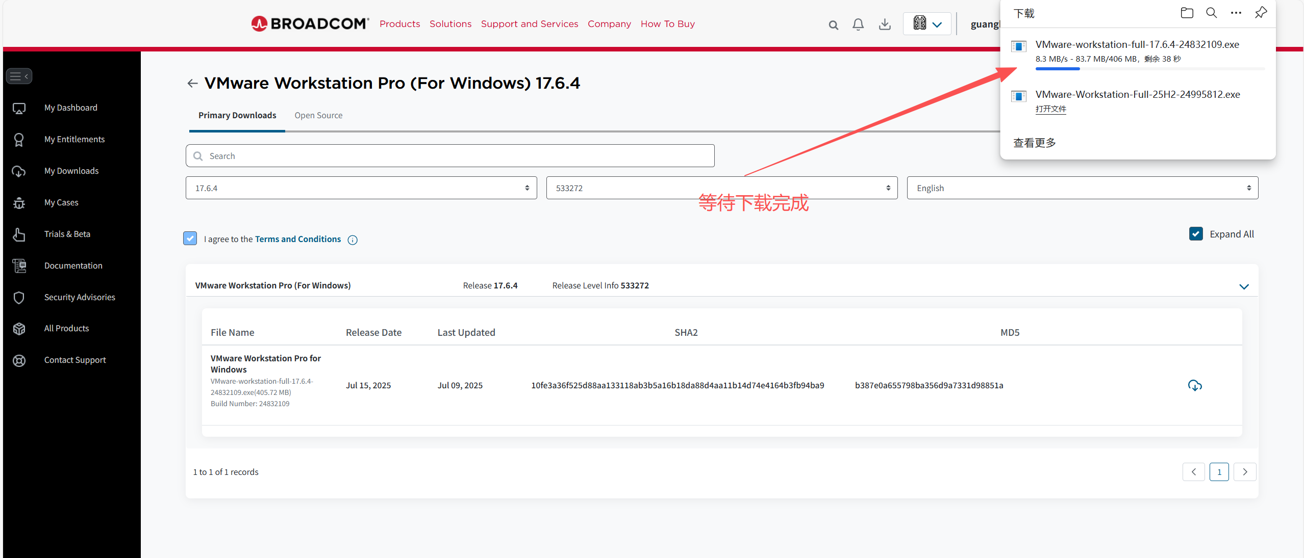 最新版本 VMware Workstation Pro虚拟机下载、安装（图文很详细）-CSDN博客