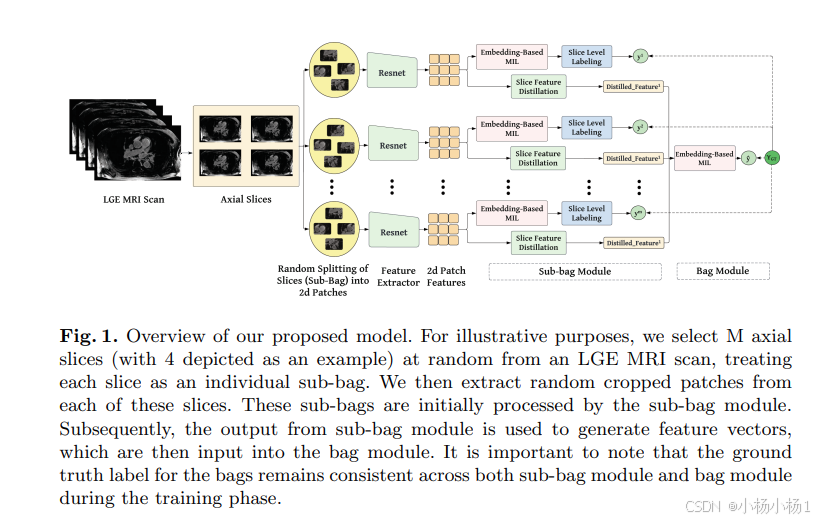 HAMIL-QA：心房 LGE MRI 质量评估的多实例学习分层方法_3d-lge-mri-CSDN博客