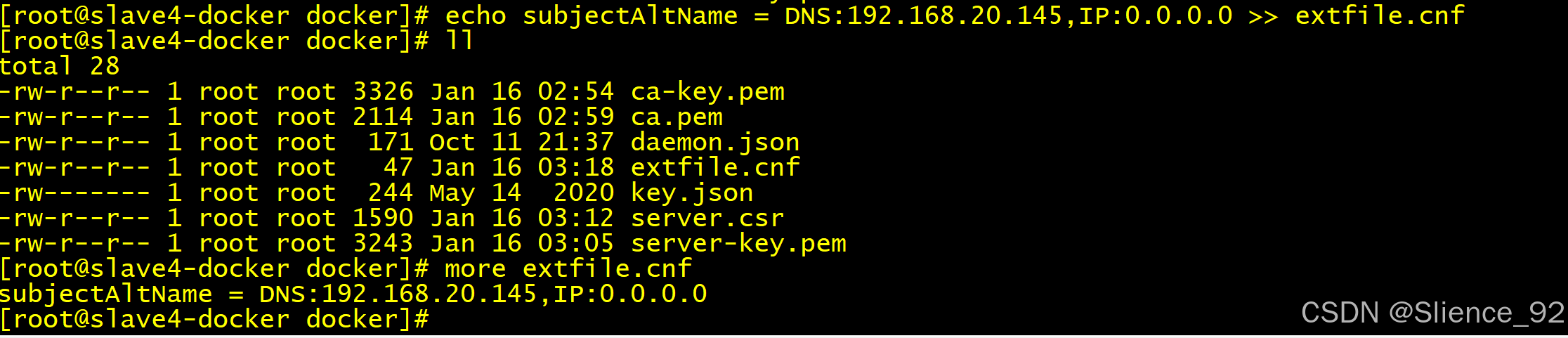 Docker_CA认证原理及配置_docker ca-CSDN博客