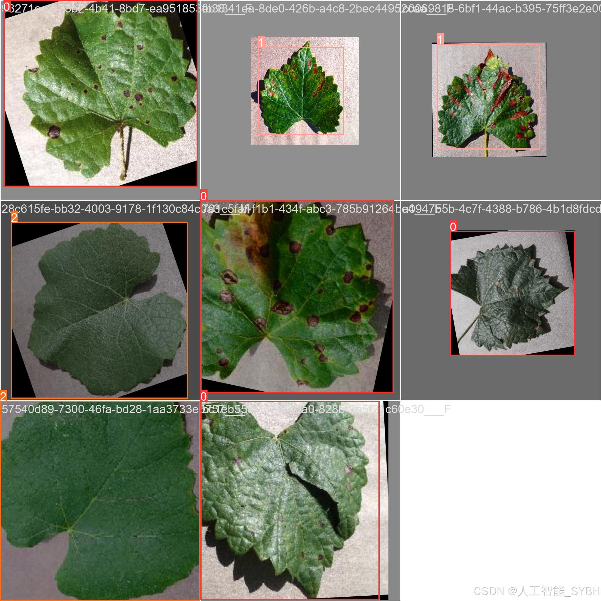 基于深度学习YOLOv10的葡萄叶片病害检测系统（YOLOv10+YOLO数据集+UI界面+Python项目源码+模型）-CSDN博客