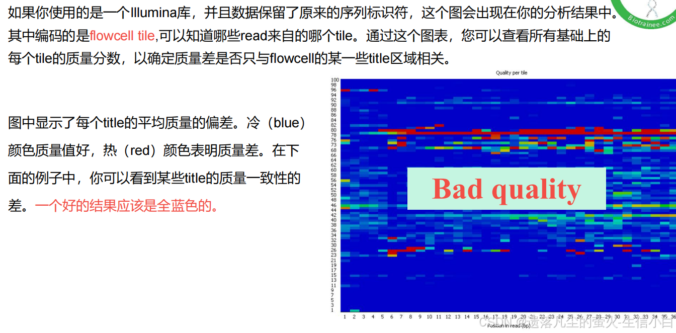 02-转录组上游分析-数据质控、过滤_fastqc report-CSDN博客