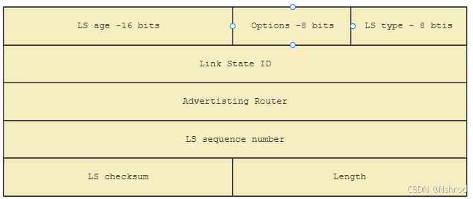 OSPF LSA 报文_lsa报文-CSDN博客