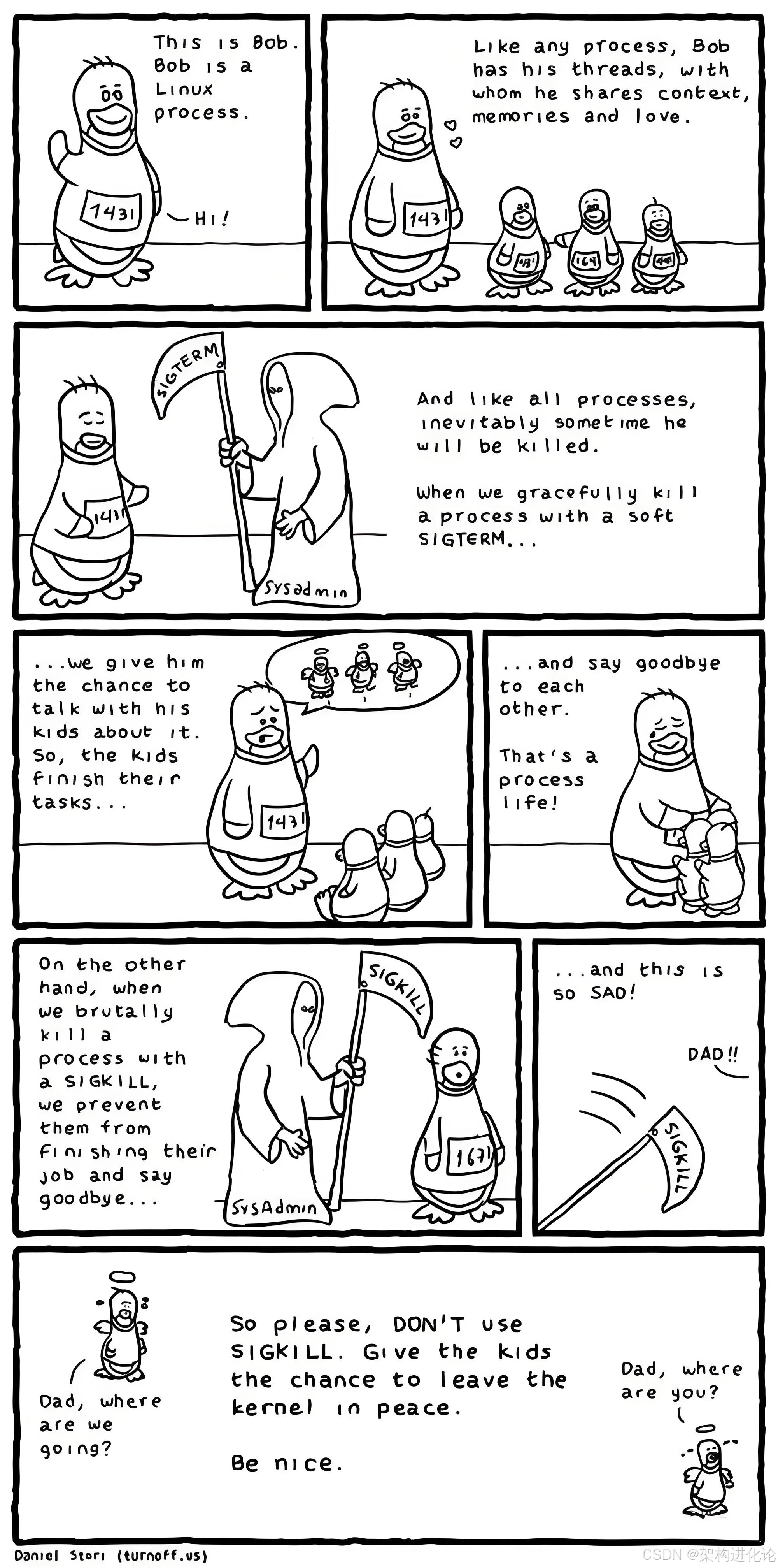 SIGTERM与SIGKILL：进程终止的优雅与强制之道-CSDN博客