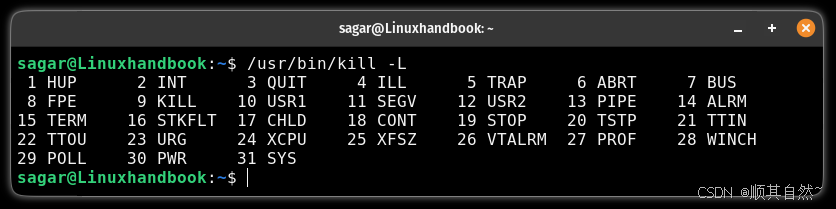 linux命令-kill、pkill 和 killall_pkill和kill-CSDN博客