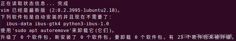 vim出现 YouCompleteMe unavailable: requires Vim 9.1.0016+.错误-CSDN博客