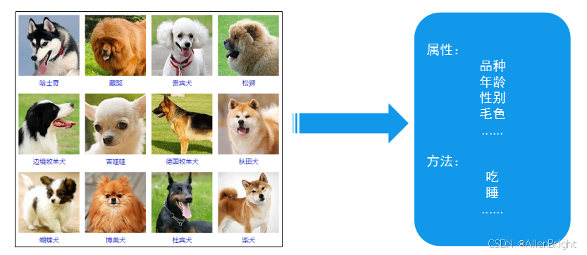【java基础 18】什么是类：深入理解 Java 中的类与对象java什么是类 Csdn博客 7416