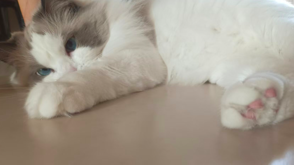 【Qt开发】Qt系统（八）-＞ Qt UDP Socket-CSDN博客