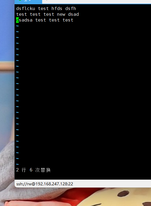 Linux命令速查：从echo到vim全攻略_通过管道符输入到vim-CSDN博客