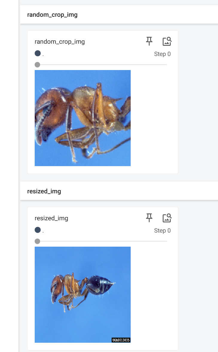 重生学AI第十一集:Resize、RandomCrop和Compose学习-CSDN博客