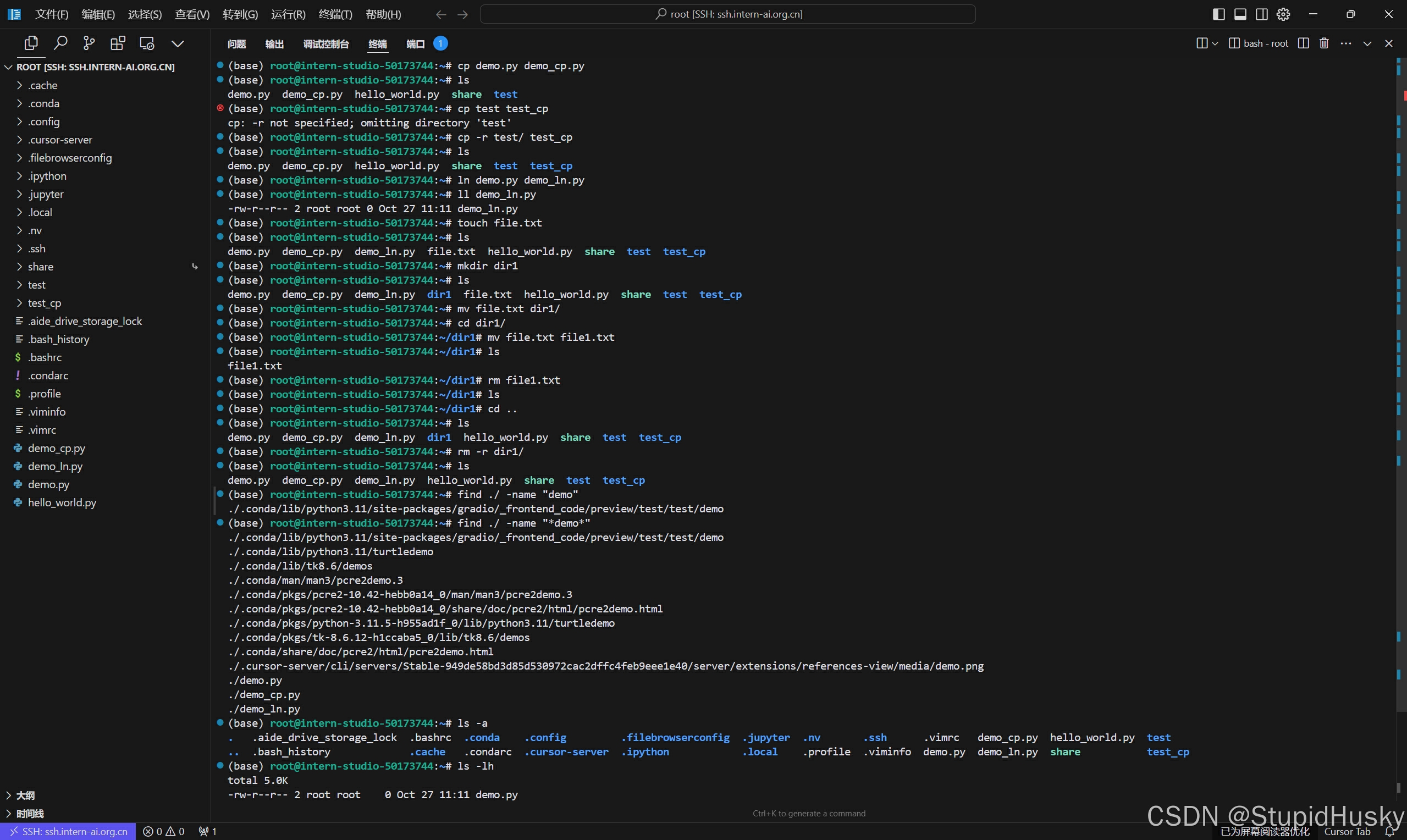 书生大模型实战营第4期 L0G1000-Linux基础知识 闯关作业_人工智能_StupidHusky-MCP技术社区