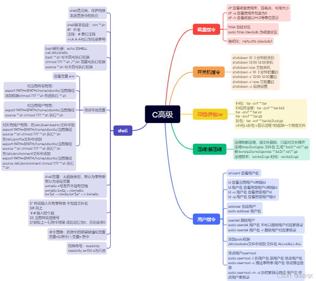 C高级day2-CSDN博客