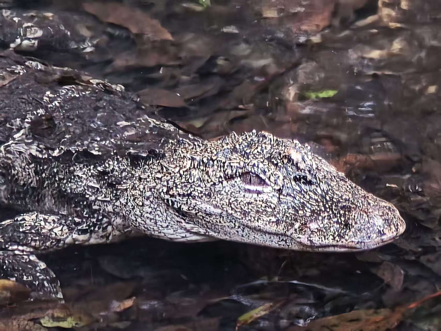 Claude Code 的使用_cc-switch-CSDN博客