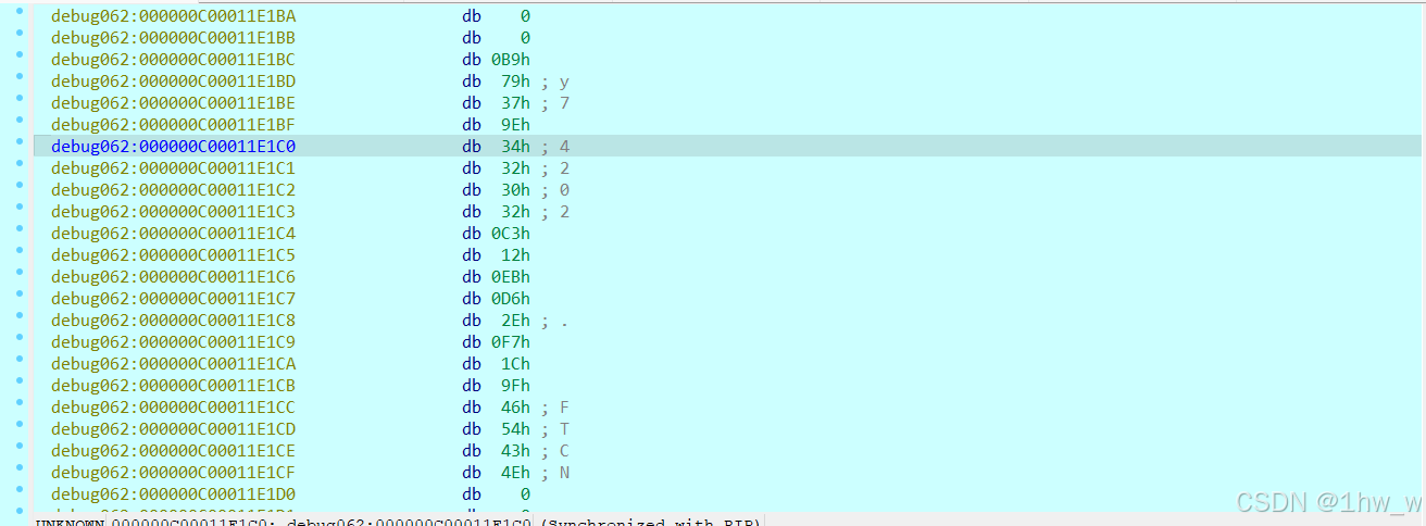 【NCTF2024】re-gogo_nctf 2024wp safeprograme-CSDN博客