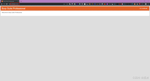 《BurpSuite 2023最新版安装与配置全攻略：破解激活+HTTPS抓包一站式指南》 _burpsuite安装包-CSDN博客
