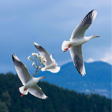 打白话解释一下dsp-Digital Signal Processing数字信号处理_什么是dsp程序-CSDN博客