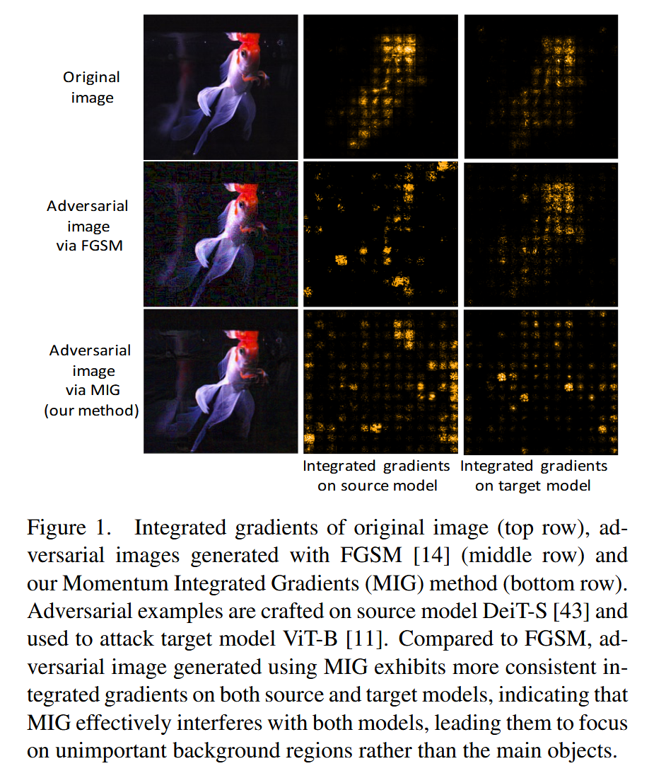 ICCV2023 | MIG | 通过动量积分梯度对视觉Transformer和卷积网络进行可转移对抗攻击_transferable adversarial attack for both ...