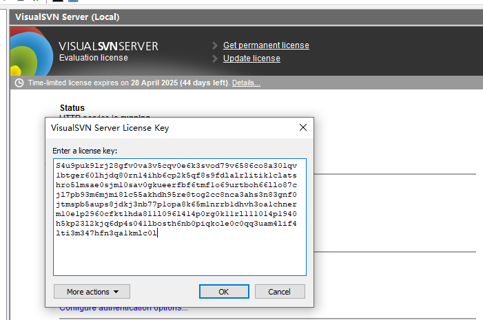 VisualSVN 报错 VisualSVN Server license expired._visualsvn server license key-CSDN博客
