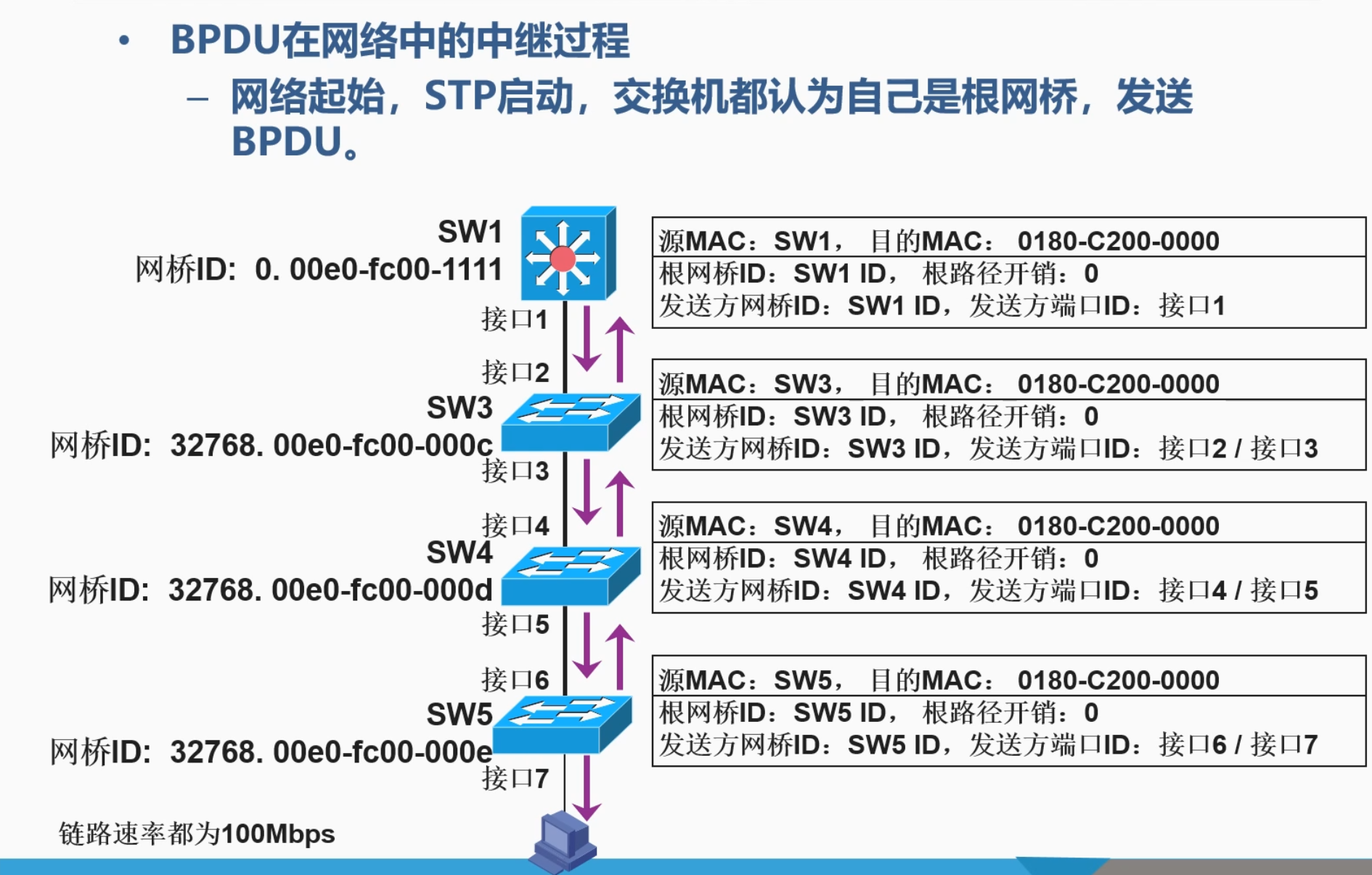 网络基础DAY9-STP-CSDN博客