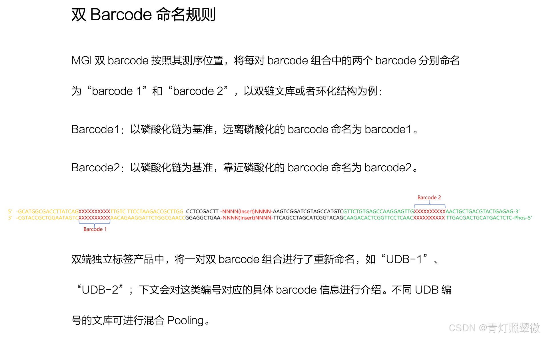 【bioinfo】DNBSEQ测序原理/Barcode/index hopping-CSDN博客