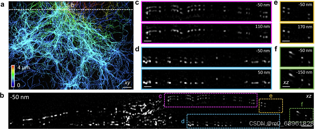 细胞成像的超级“放大镜”——4Pi-SIM_3d-sim ppt-CSDN博客