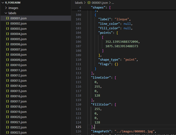 修改json文件里的imagePath_python将labelme的json文件的imagepath修改并保存-CSDN博客