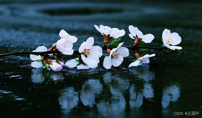 动手学PyTorch建模与应用：从深度学习到大模型DeepSeek教程-动手练习：PyTorch优化器比较_动手学pytorch建模与应用:从深度学习到大模型-CSDN博客