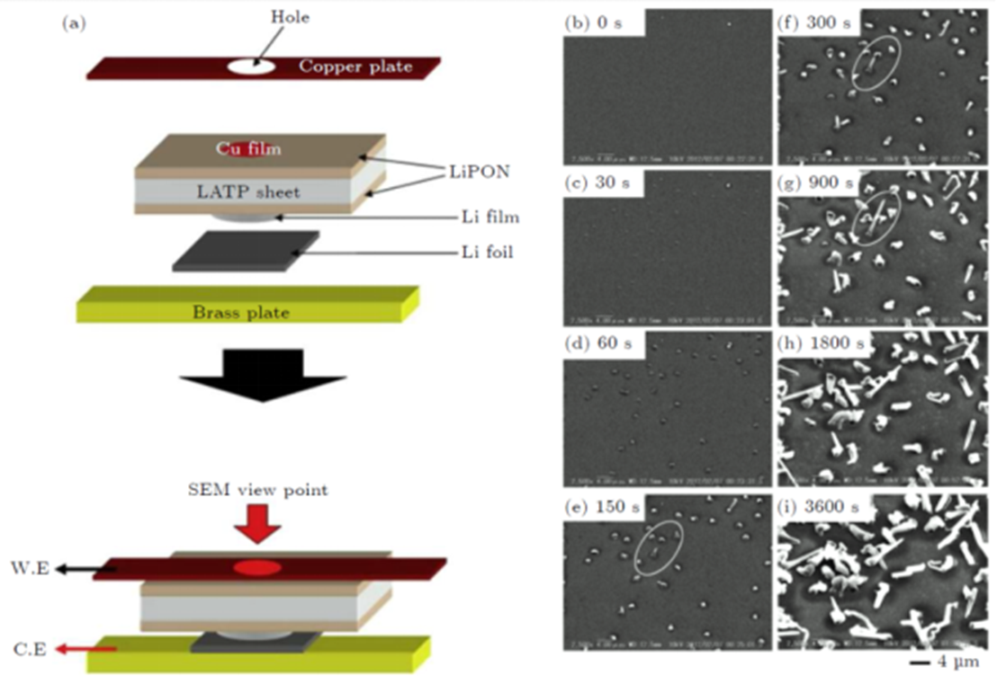 原位SEM测试样品制备和前处理步骤盘点-测试GO_sem样品前处理-CSDN博客