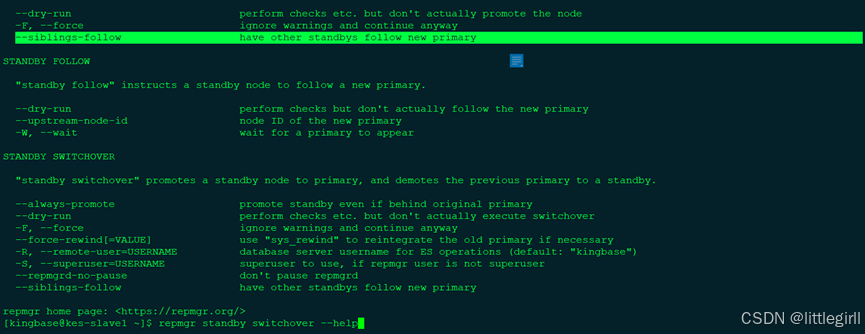 KES V8R6集群增加VIP配置步骤_repmgr vip-CSDN博客