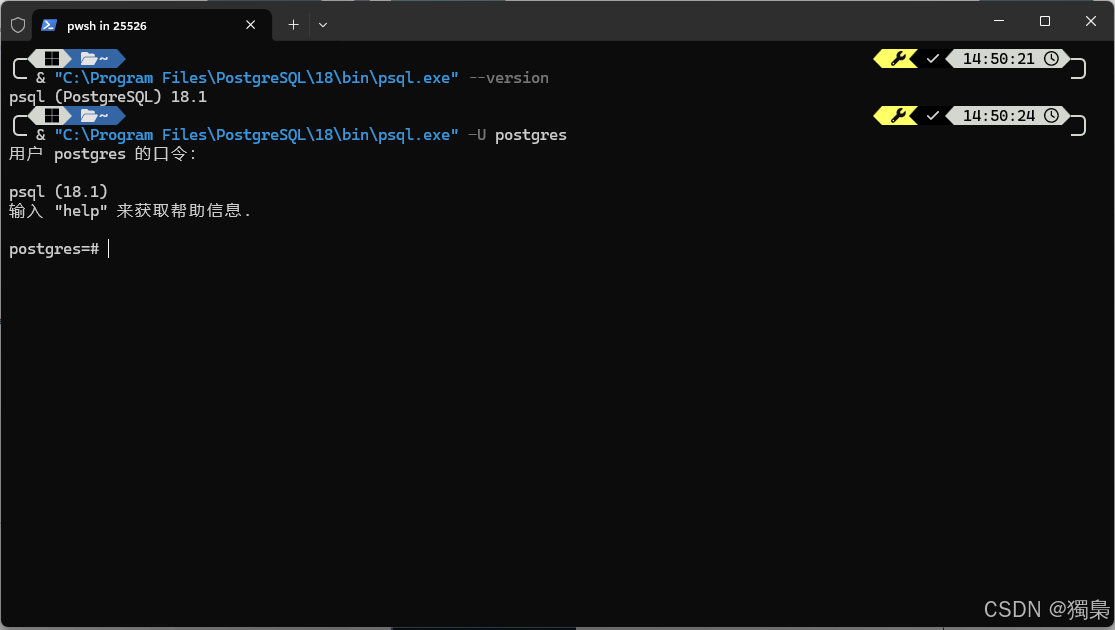 Windows 安装 PostgreSQL18 超详细保姆级教程_postgresql windows-CSDN博客