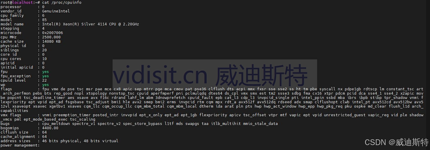 linux文件/proc/cpuinfo使用详解：显示系统的软硬件信息，常用于解读Linux服务器CPU信息的利器-CSDN博客