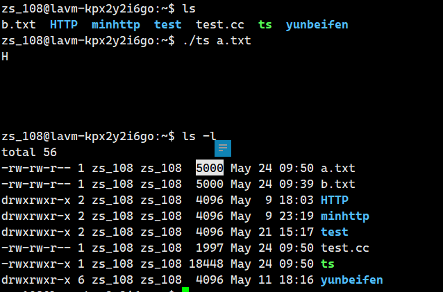 【Linux】mmap文件映射-CSDN博客