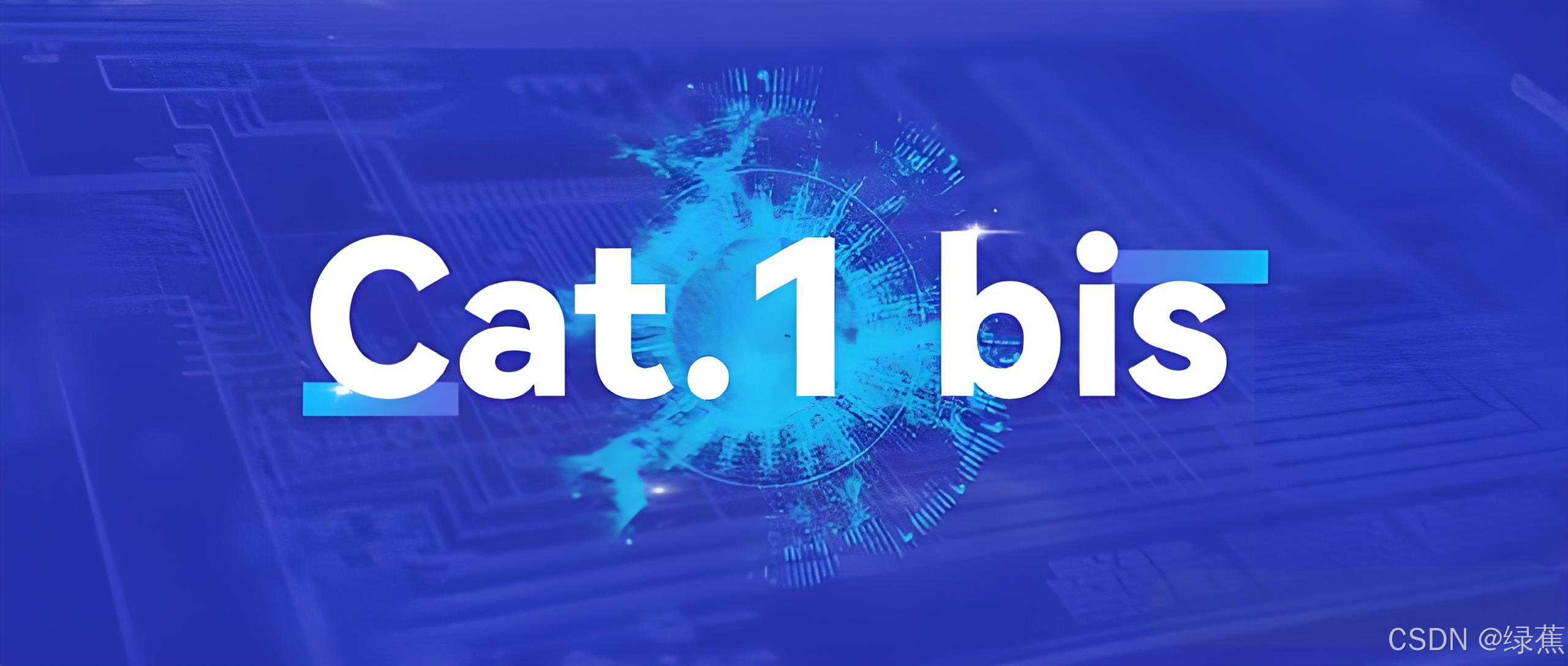 4G Cat.1 bis：中低速物联网市场的“性价比之王”-CSDN博客