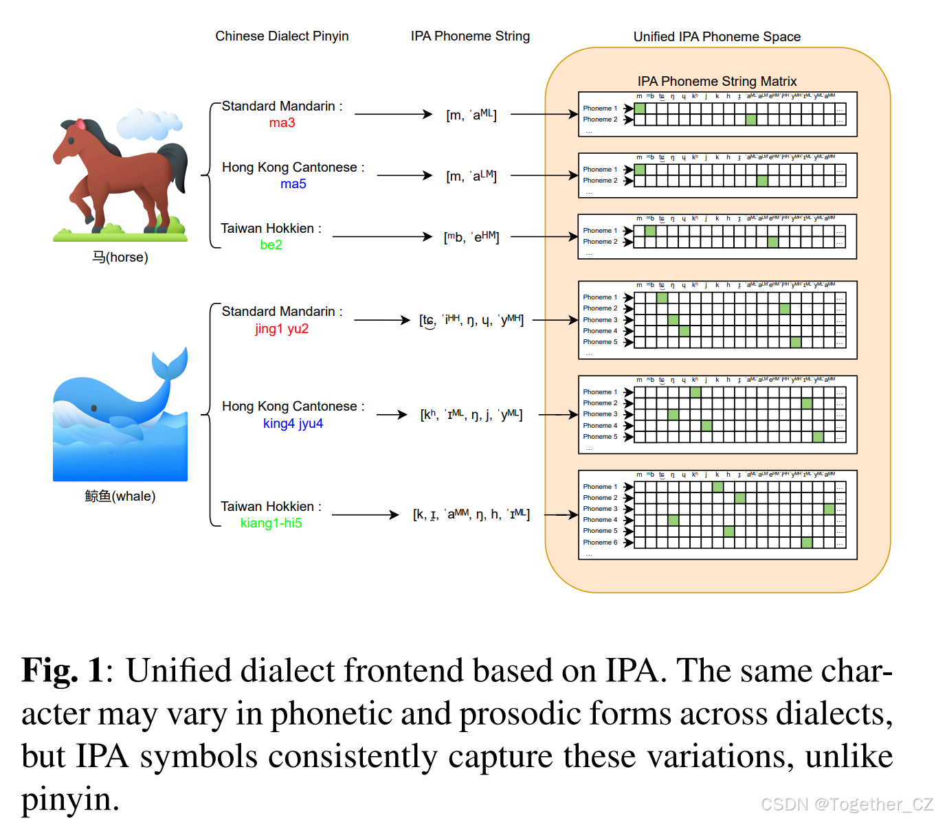 DiaMoE-TTS: A Unified IPA-based Dialect TTS Framework with Mixture-of ...
