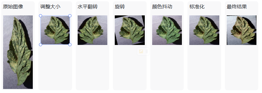 2026毕业设计-基于EfficientNet-B3+ECA模型的农业病虫害识别研究与应用_基于efficientnet-b3实现图像分类,植物虫害分类-CSDN博客