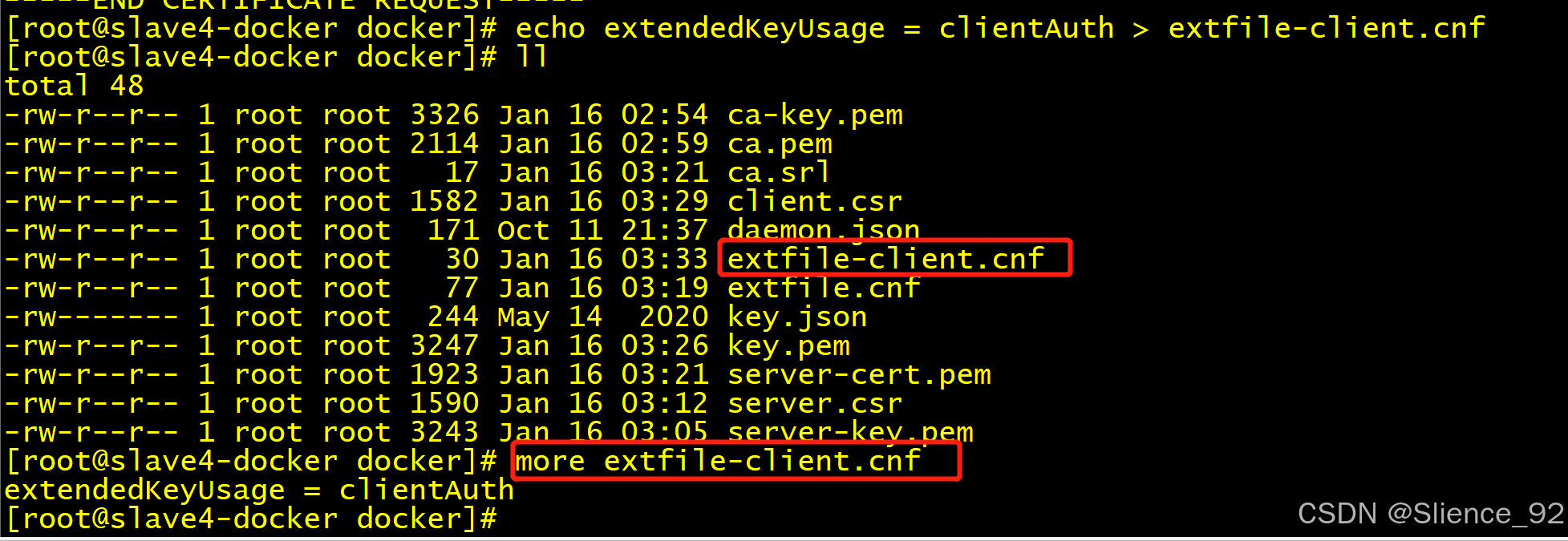 Docker_CA认证原理及配置_docker ca-CSDN博客