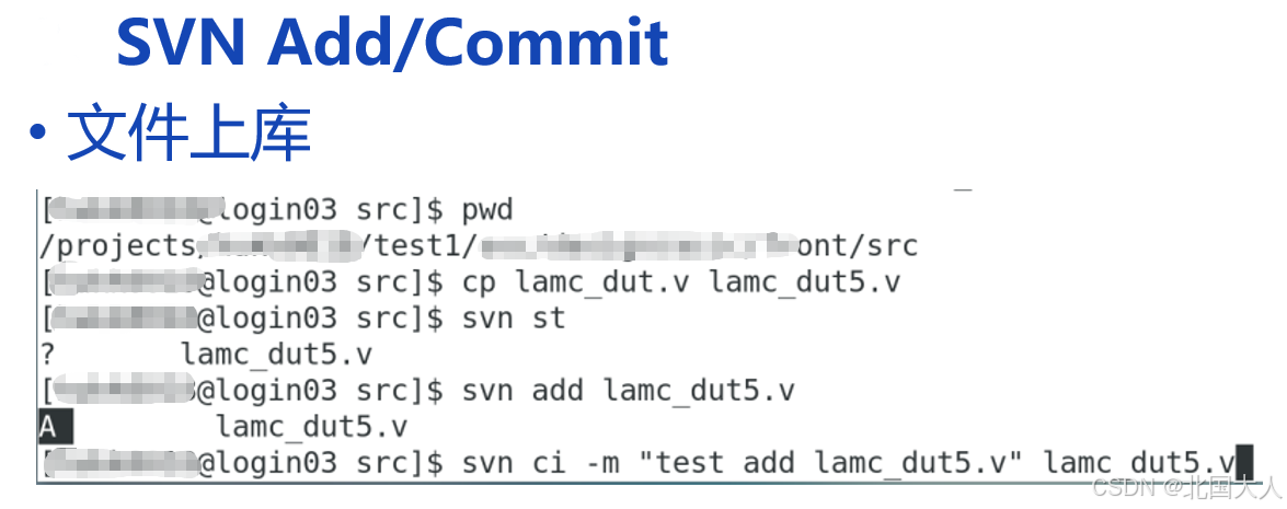 SVN操作指南_svn工具-CSDN博客
