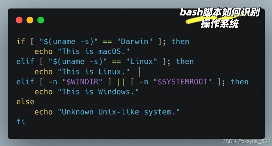 Win10 中如何启用 Ubuntu Bash？提升开发效率的实用方法-CSDN博客