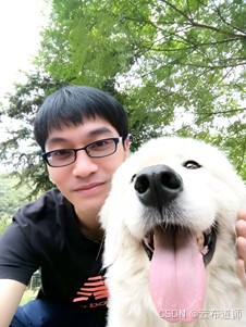 阿里云顶会论文 OSDI‘25 VIO 弹性直通_osdi 阿里-CSDN博客