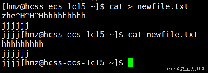 Linux基本命令篇 —— cat命令_linux cat-CSDN博客