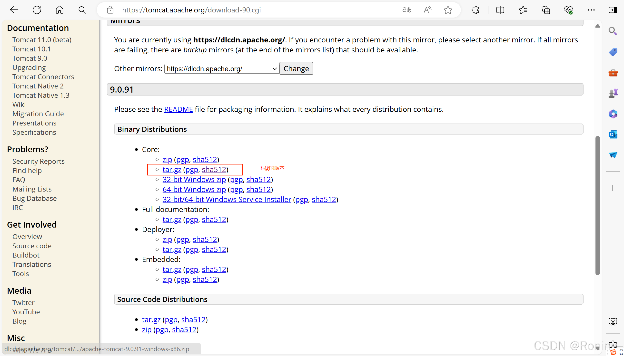 Tomcat安装_tomcat9.0.31安装及配置教程-CSDN博客