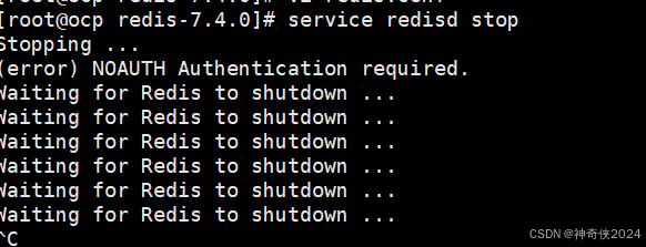 基于kylin-v10的redis安装_麒麟v10安装redis-CSDN博客