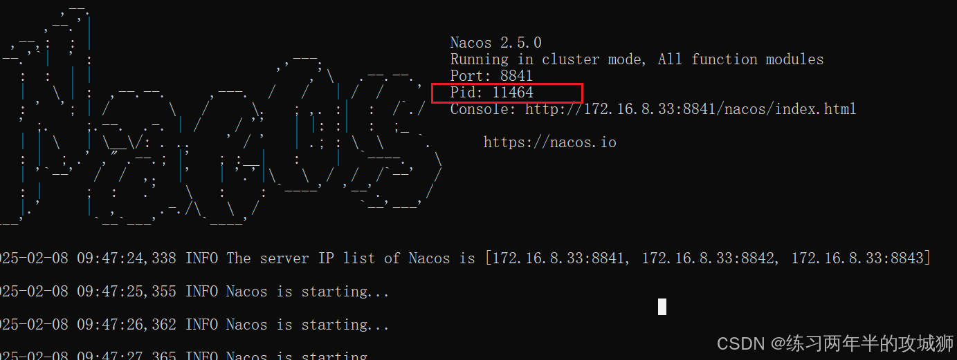 windows下Nacos集群搭建、端口报错问题_nocos下载-CSDN博客